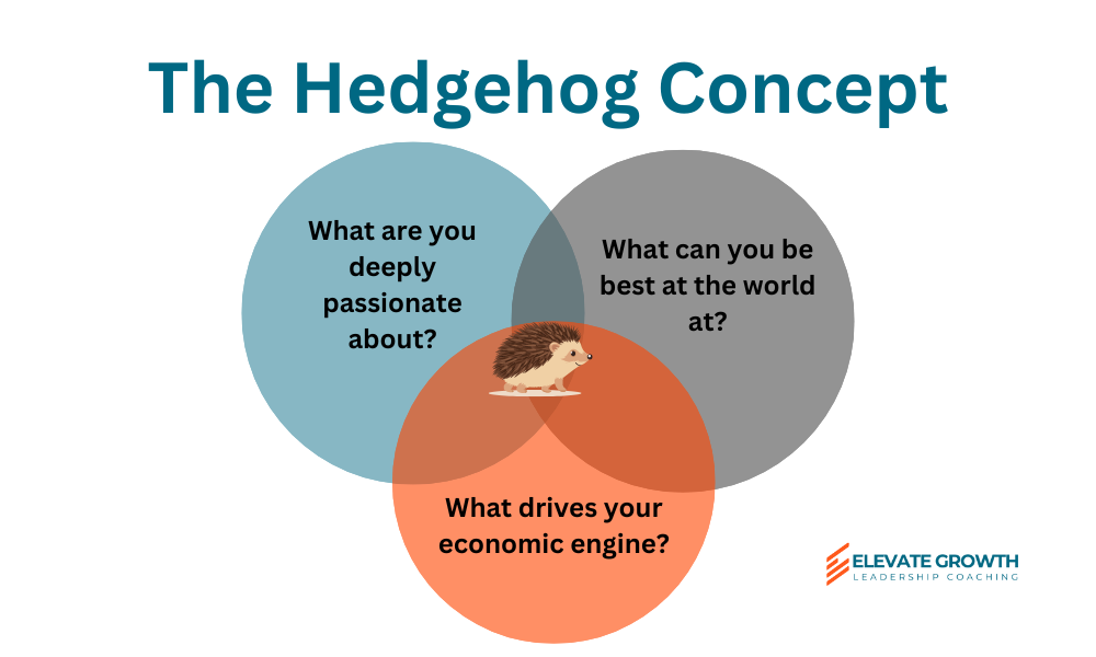 What is the Hedgehog Concept? And Why Your Business Strategy Needs One